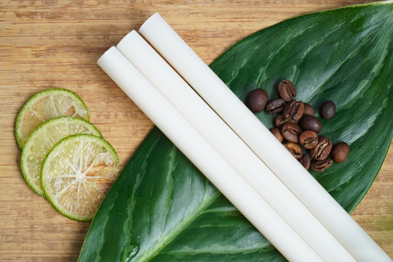 Hộp ống hút phân hủy sinh học 100% - S4N – Seedling for nature