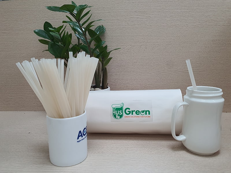 Thùng 1000 ống hút phân hủy sinh học 100% - S4N – Seedling for nature