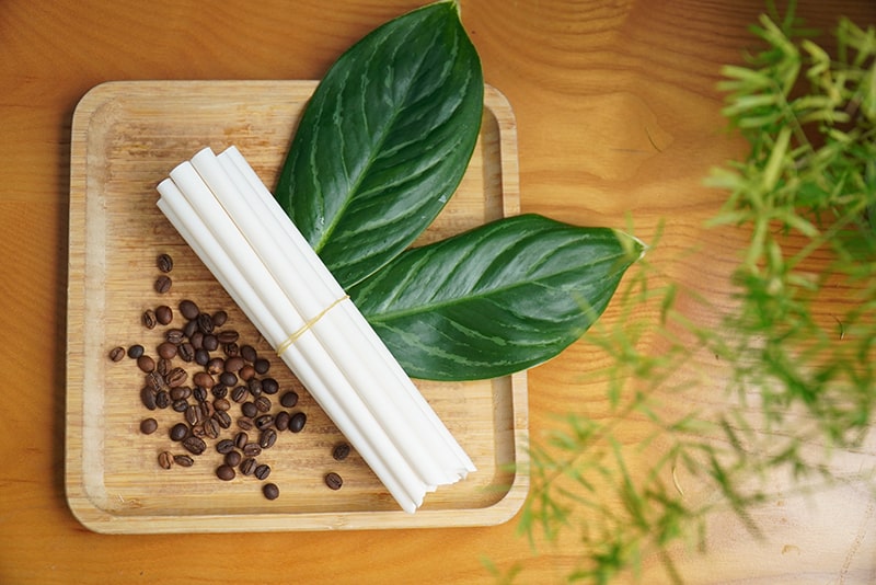 Túi 100 ống hút phân hủy sinh học 100% - S4N – Seedling for nature