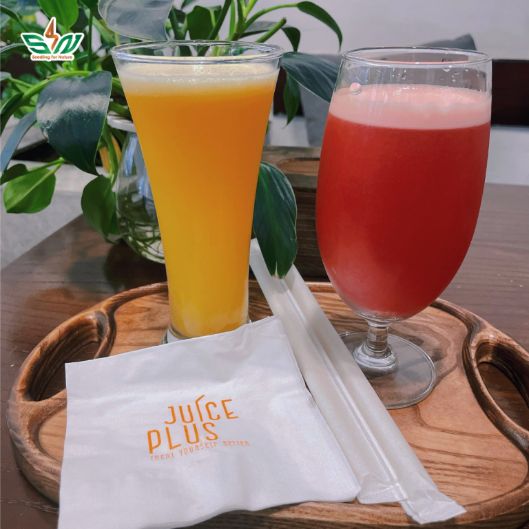 Trang chủ - S4N – Seedling for nature