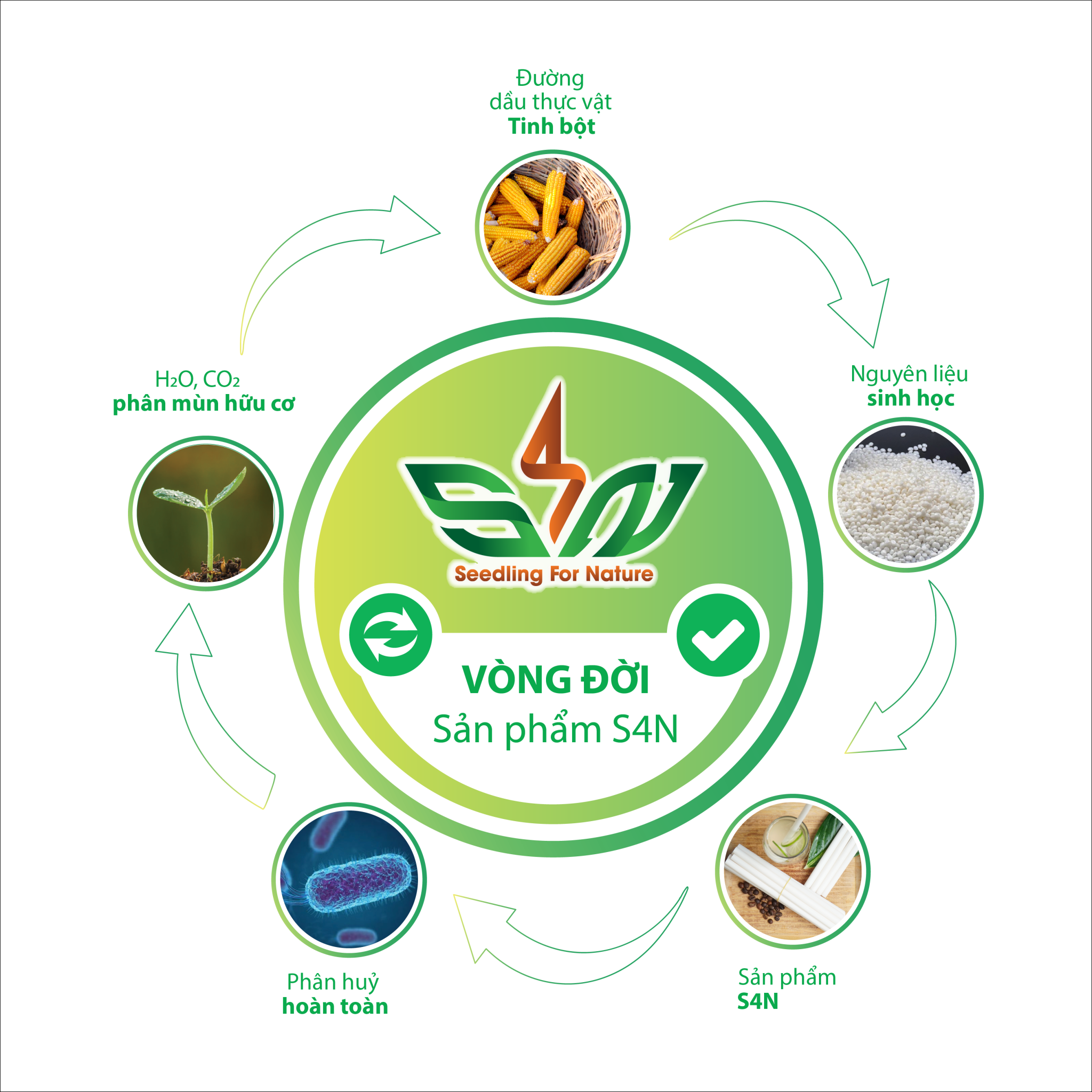 Trang chủ - S4N – Seedling for nature