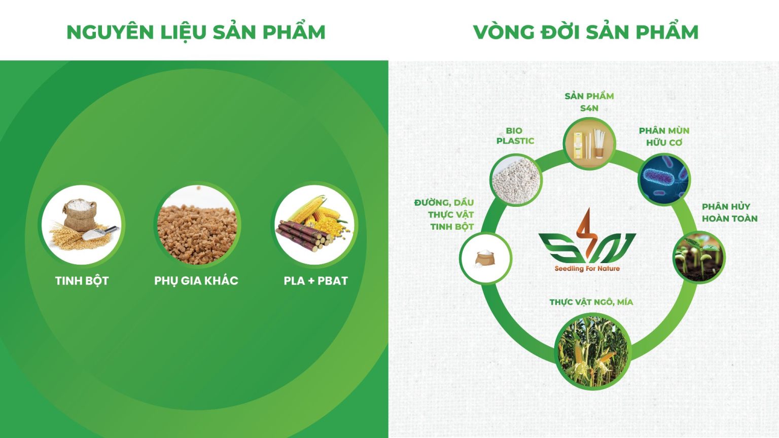 Trang chủ - S4N – Seedling for nature